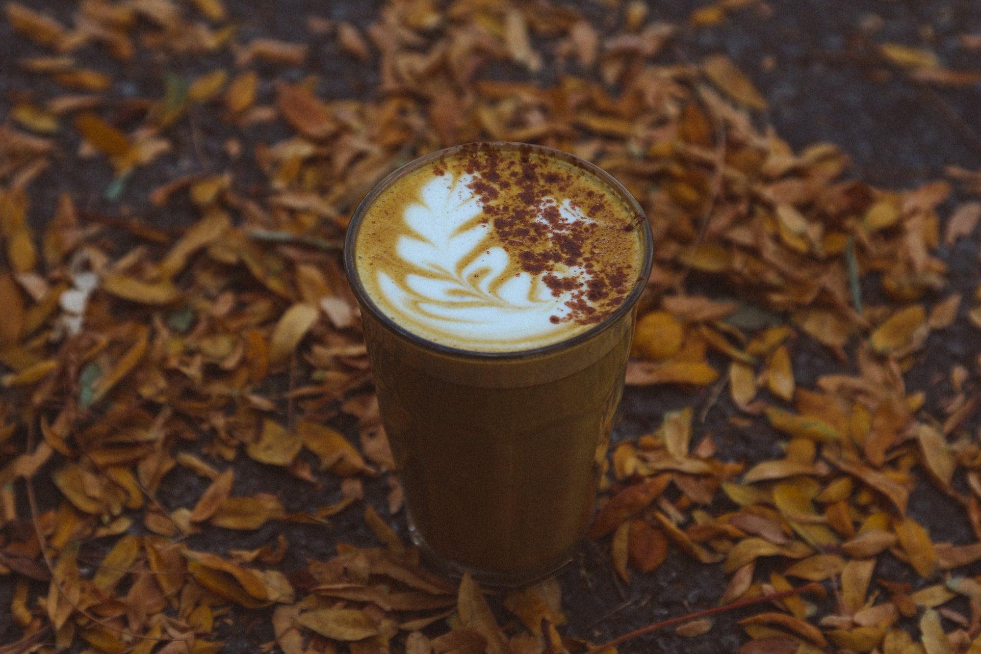 Brioso Coffee | Roastery + Coffee Bar | Columbus OH